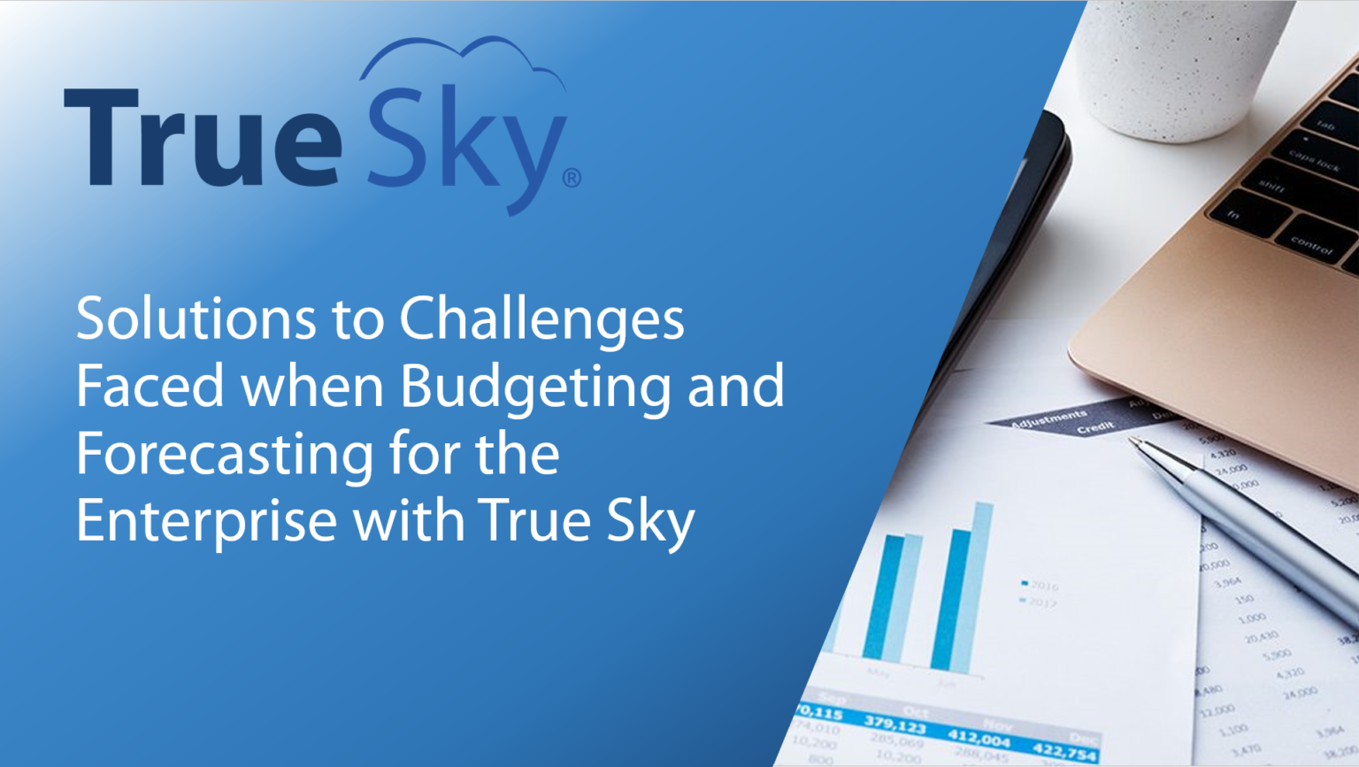 Solutions to Challenges Faced when Budgeting and Forecasting for the Enterprise with True Sky ...